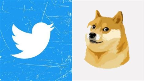 বদলে গেলো টুইটারের লোগো নীল পাখির পরিবর্তে কুকুরের ছবি