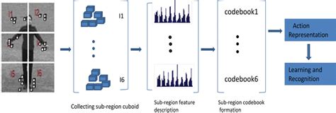 action classification collecting sub region cuboids and constructing a