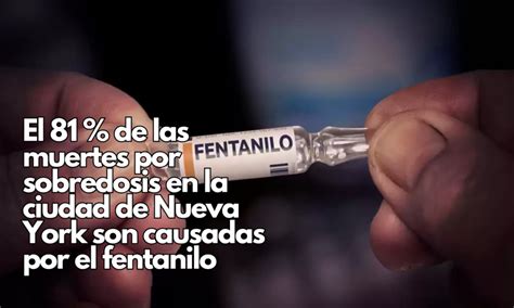 Fentanilo Ya Supone El 81 De Las Muertes Por Sobredosis En Nueva York