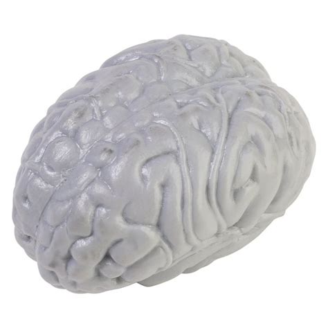 Definition Of False Causality Synonym