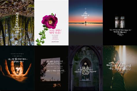 「상시캘리커미션」규목캘리 On Twitter 🌱상시 캘리그라피 커미션🌿 흘러가는 소리를 흩어져가는 글자들을 흰 종이위에 예쁜 작품으로 담아내보세요 엽서 헤더