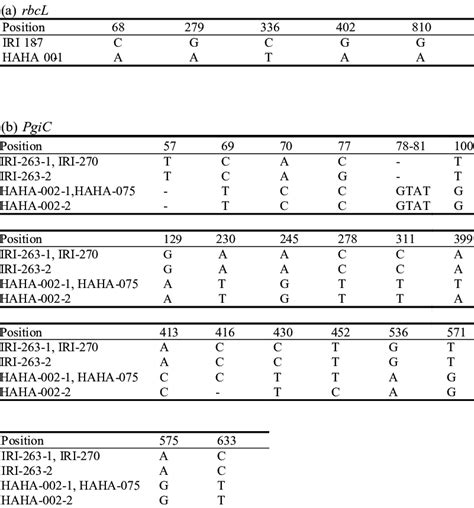 Differentiated Sites In Nucleotide Sequences Of Rbcl A And Pgic B