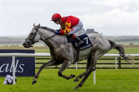 Luke Comer Weighing Up Options After Failed Appeal Against Three Year Suspension Of Trainers