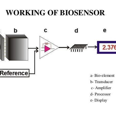 The Schematic Representation Of A Microbial Biosensor Classification Of Download Scientific