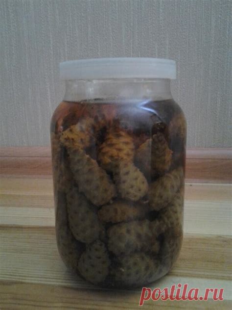 Сосновые шишки обладают большой целительной силой они не только сп ЗЕЛЁНАЯ АПТЕКА Постила