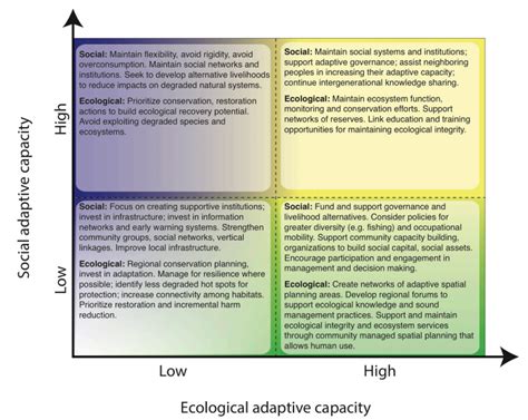 Adaptive Capacityfrom Assessment To Action Nereus Program