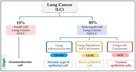 Histological Classification Of Lung Cancer Lc Small Cell Lung Cancer Download Scientific