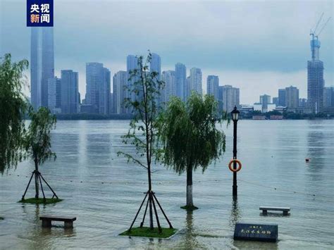 长江汉口站已达设防水位湖北武汉启动防汛Ⅳ级应急响应 抗旱 研究