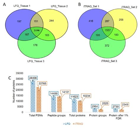 Comprehensive Workflow Of Mass Spectrometry Based Shotgun Proteomics Of Tissue Samples