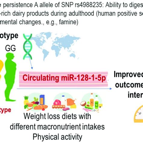 Dna Methylation At Txnip And Schematic Function Of Download Scientific Diagram