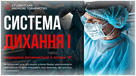 Анатомія зовнішнього носу носової порожнини гортані Youtube