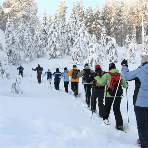 Guided Snowshoeing Estes Park Colorado Kma