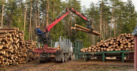How Accidents Happen In Logging Industry Loggers Safety