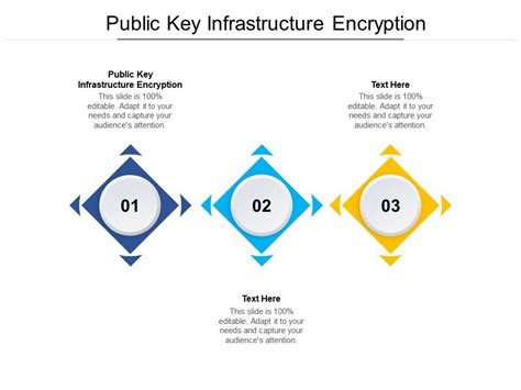 Public Key Infrastructure Encryption Ppt Powerpoint Presentation