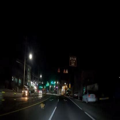 Ss Object Detection Model By Matia