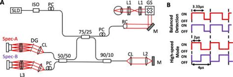 System Configuration Of Dual Spectrometer Retinal Sd Oct System A And Download Scientific