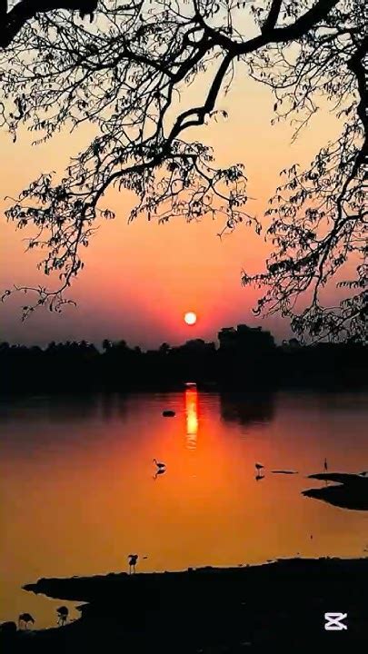 ලංකාවේ සුන්දරත්වය 🍂♥️ Beauty Of Sri Lanka Shortvideo Fyp Nature Trending Srilanka Youtube