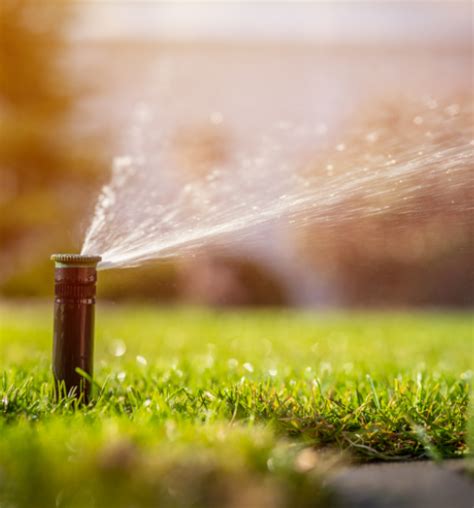 Sprinkler Repair And Blowout In Utah Davis And Salt Lake County