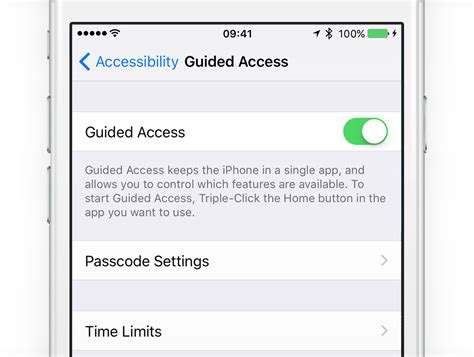 Guide How To Restrict Access To Your Iphone With Guided Access Mode