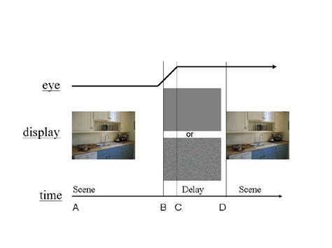Illustration Of The Scene Onset Delay Paradigm At The First Time Point Download Scientific