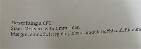 Solved Describing A Cfusize Measure With A Mm