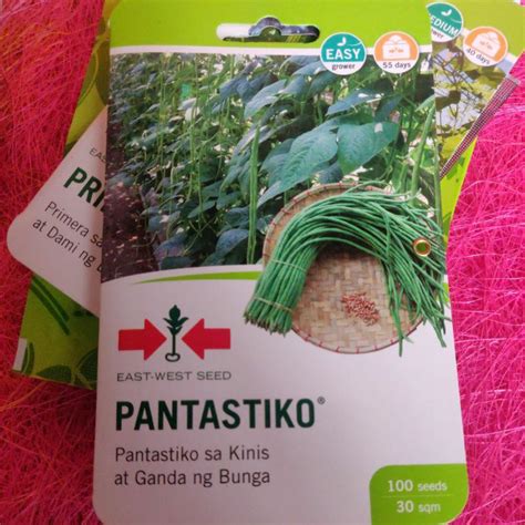 Pole Sitao Seeds String Beans Seeds Op Pantastiko 100seeds East West
