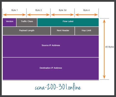 The Rules Ccna 200 301