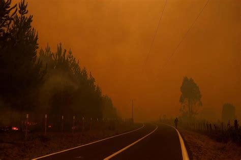 Tragedia En Chile Incendios Forestales En El Centro Sur Del País Dejan