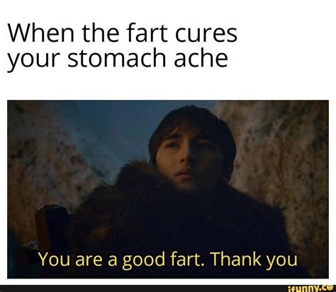 When The Fart Cures Your Stomach Ache You Are A Good Fart Thank You Ifunny