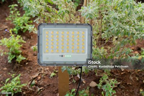 정원 램프 설치를 위한 태양광 조명으로 녹지가 있는 현대적인 친환경 디자인을 보여줍니다 0명에 대한 스톡 사진 및 기타 이미지 0명 감방 개발 Istock