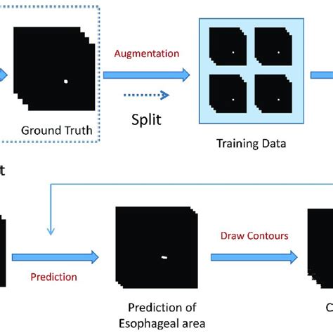 Flow Chart Of The Proposed Method For Segmenting The Esophagus In Ct