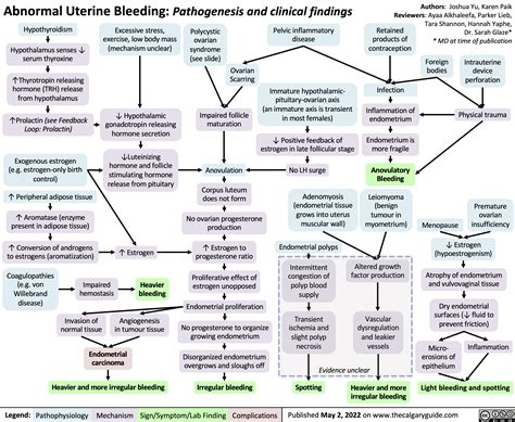 Pathology Endometrium Dysfunctional Uterine Bleeding