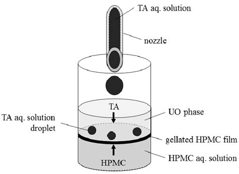 Pre Microencapsulation Procedure Download Scientific Diagram