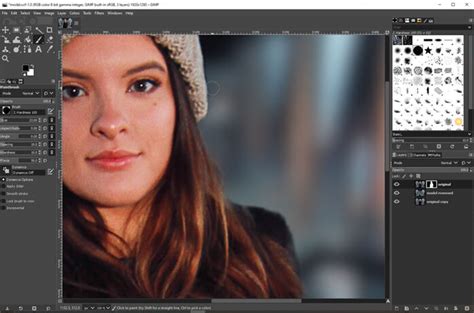 GIMP Blur Background Different Steps Of GIMP Blur Background