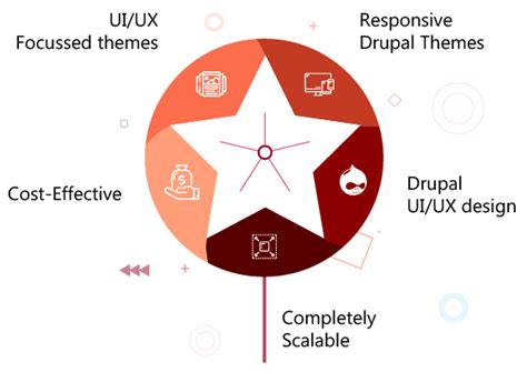 Drupal Theme Developers Custom Drupal Theme Development Digital Echidna