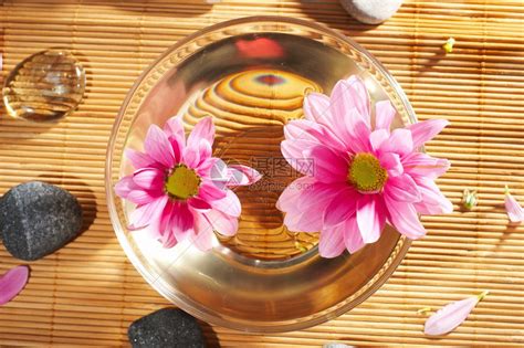 Sas高清图片下载 正版图片507027483 摄图网