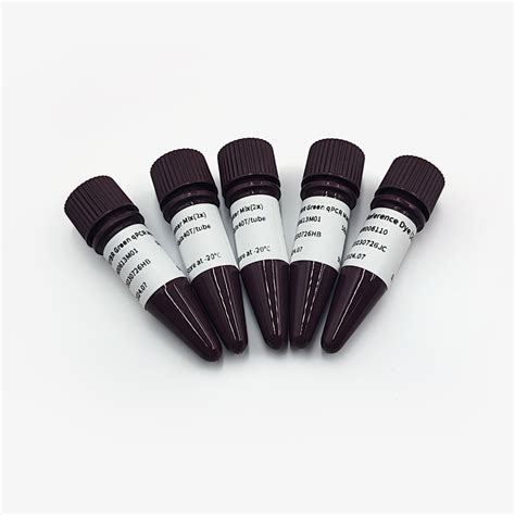 Pcr技术全解析：从原理到操作指南｜华晨阳