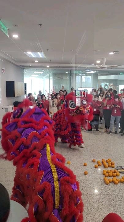 Jason Loo On Linkedin Lion Dance In Our Dksh Cssc Office Nice