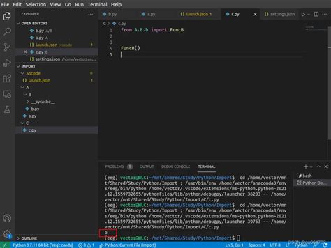 Vscode同级目录 Import 报错：no Module Named ‘xxx‘vscode中import文件夹错误 Csdn博客