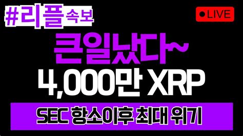 리플 긴급 사태 항소 이후 왜 Youtube