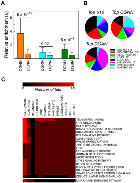Recurrent Ns Substitutions Display Sequence Context Dependent Patterns
