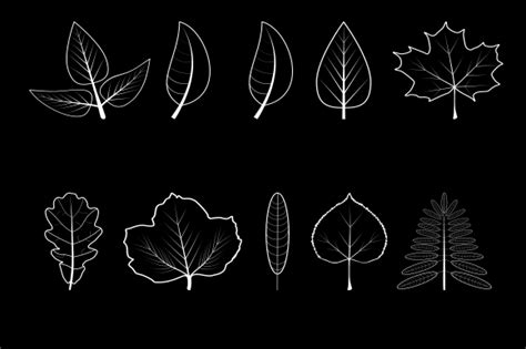 How To Draw A Leaf In Autocad