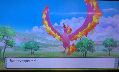 Shiny Moltres Caught It In A Love Ball R Pokemon Bdsp