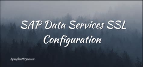 Ume Configuration Use Abap As Data Source Sap Basis For You