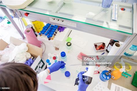 과학적인 샘플을 준비 하 고 저장 하기 위한 생화학 또는 사용 Stem 주제에 대한 스톡 사진 및 기타 이미지 Stem 주제 검사 보기 과학 실험 Istock