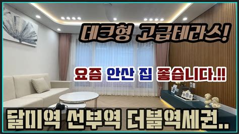 선부동신축빌라 완벽한 인테리어가 눈에 띄네요 핫하게 완벽한 안산 선부동 고급빌라 분양32평 녹지율까지 퍼펙트 Youtube
