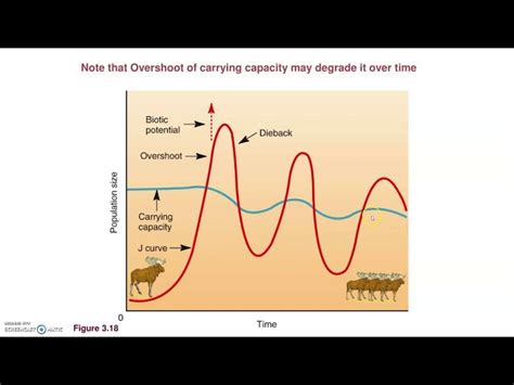 Carrying Capacity Graph