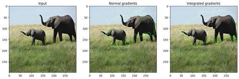 model interpretability with integrated gradients