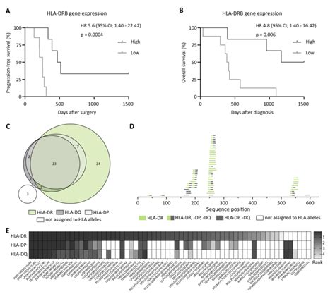 Impact Of Hla Drb Gene Expression On Clinical Outcome And In Silico Download Scientific Diagram