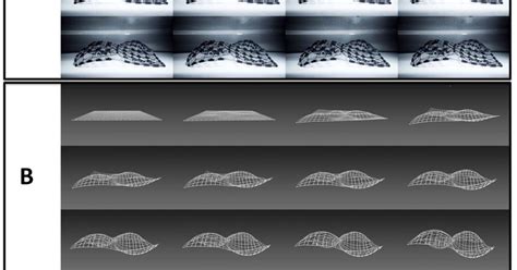 Beyond 3 D 4 D Printing Makes Items That Change Shape